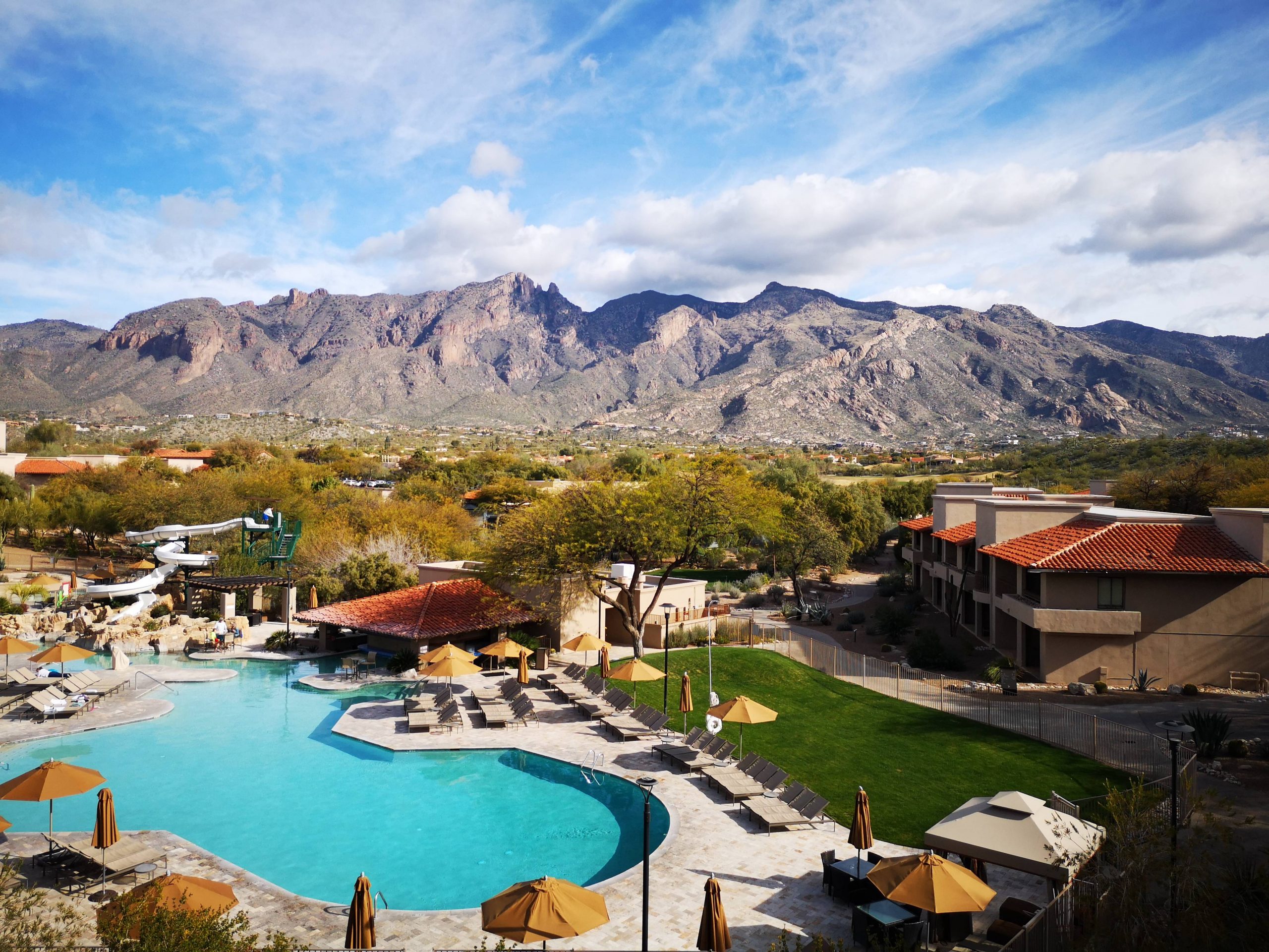 New product launch - Bucom